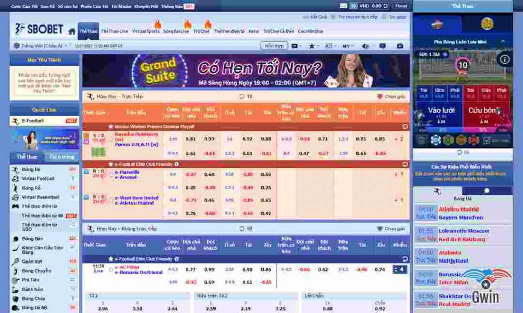 Nhà cái SBOTOP và những thông tin đánh giá quan trọng nhất